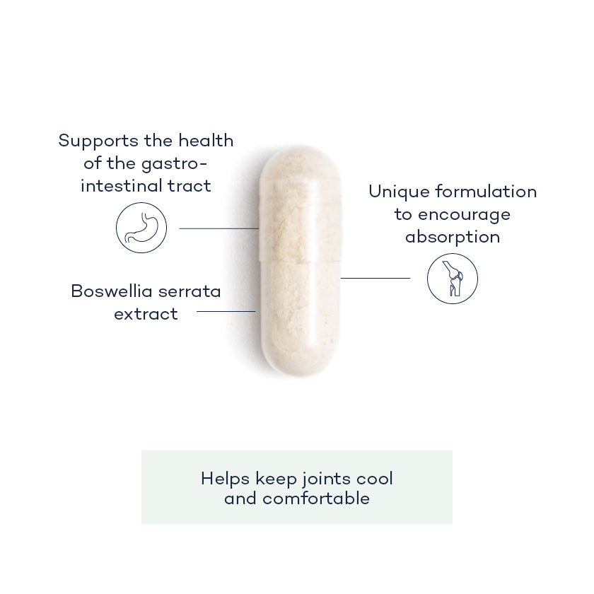 Cool Joints+ (Boswellia) – Future You Health Hong Kong